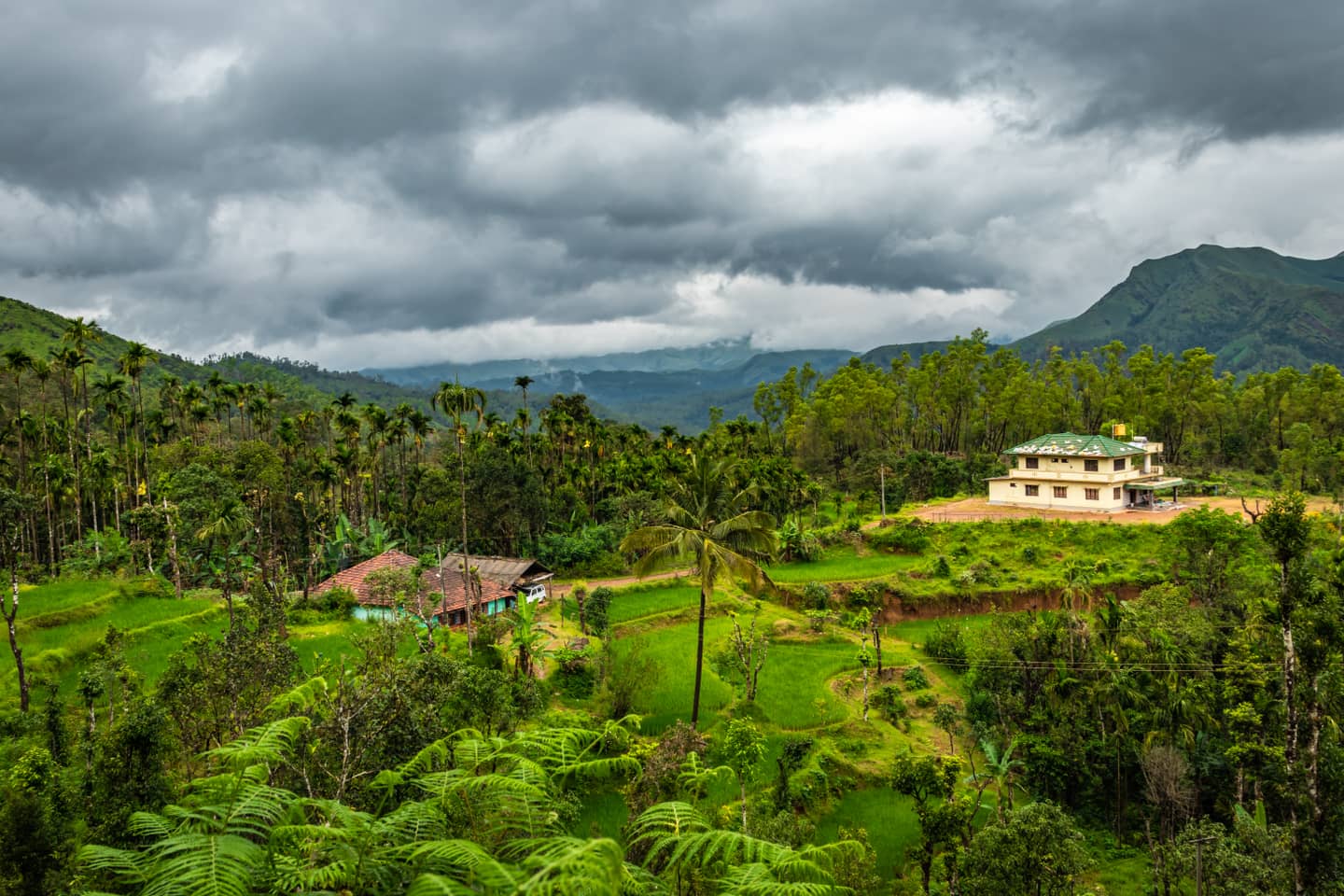 Chikmagalur cottages