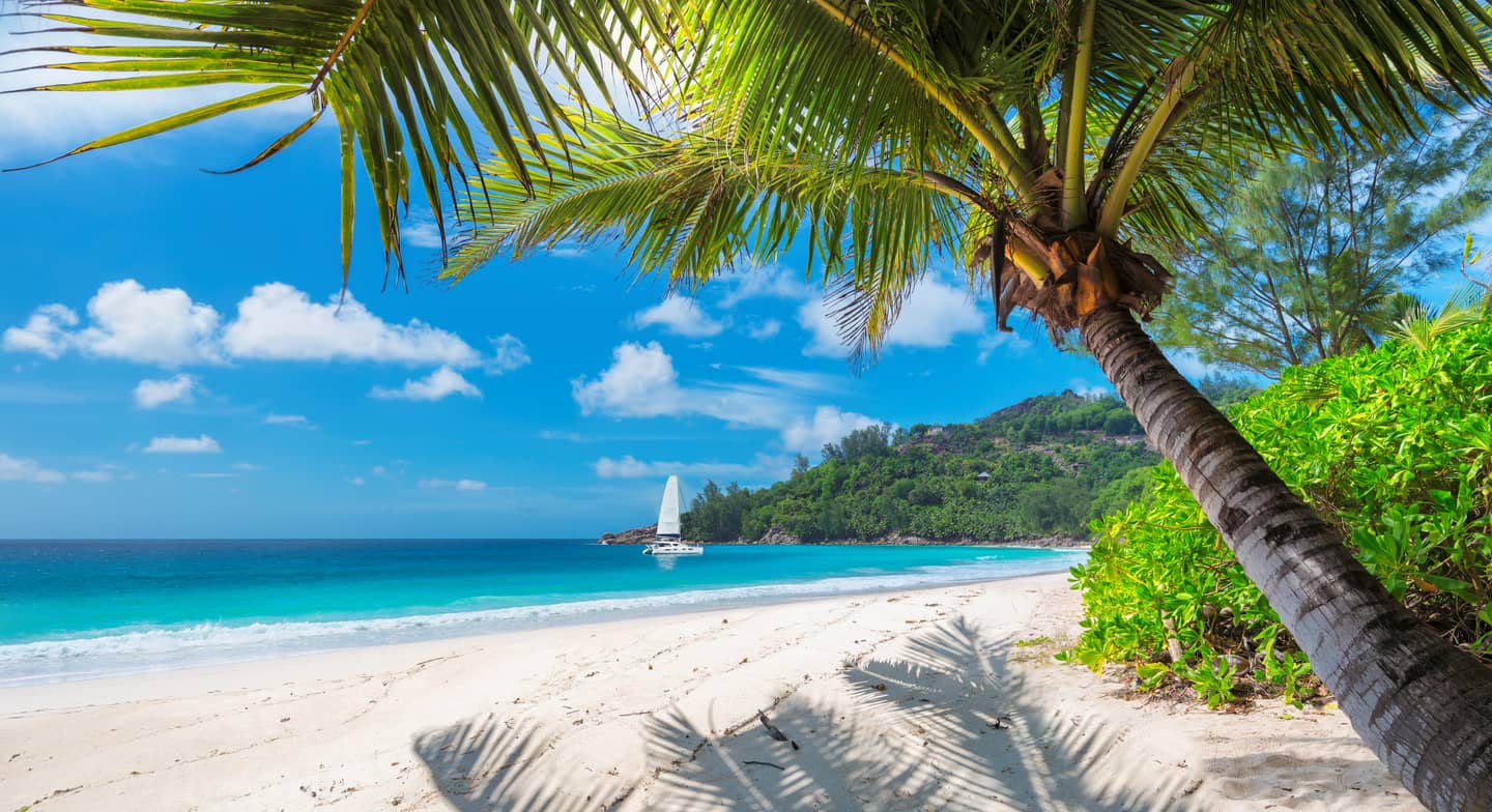 Jamaica vacation rentals