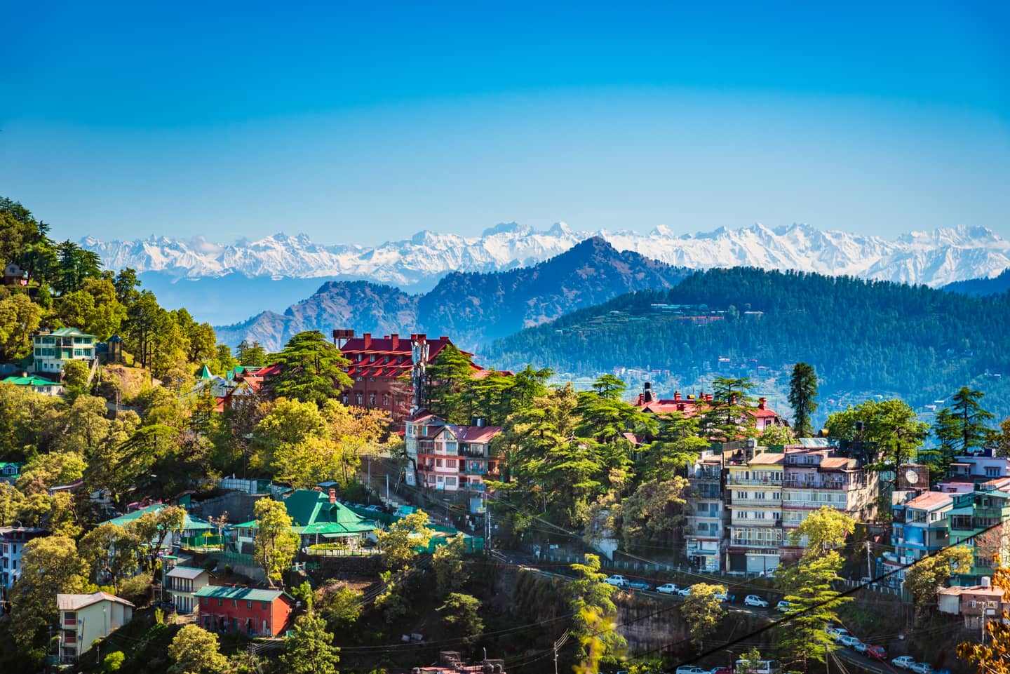 Shimla resorts