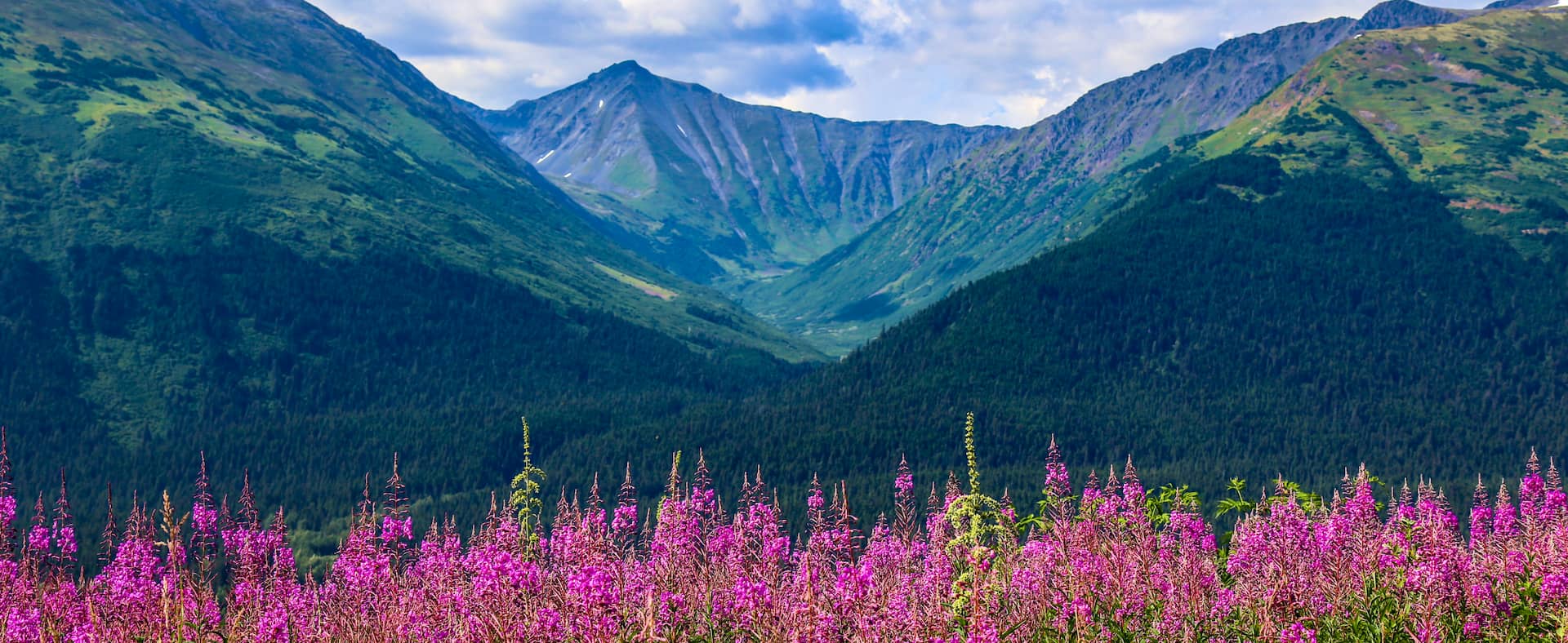Anchorage AK Apartments And Condos For Rent Cozycozy