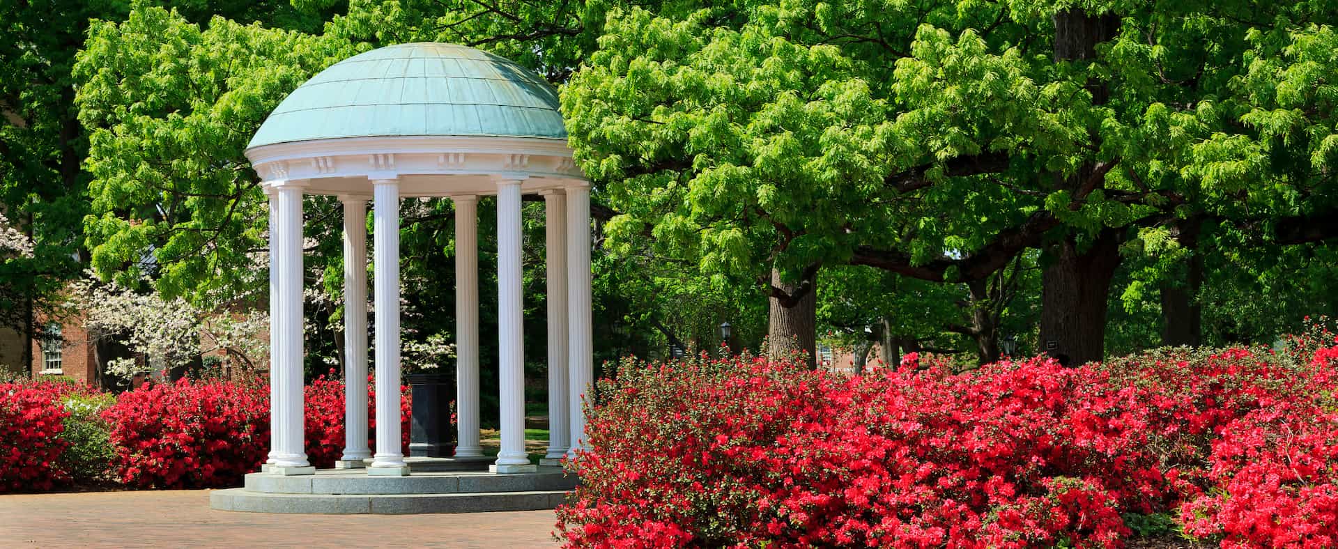 Chapel Hill, NC short term rentals