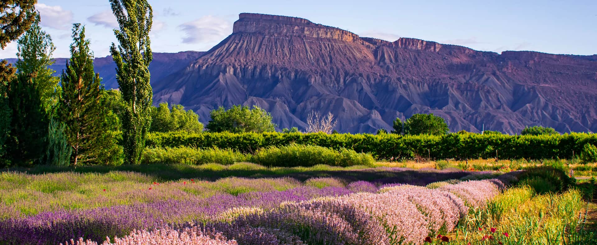 Grand Junction, CO holiday parks