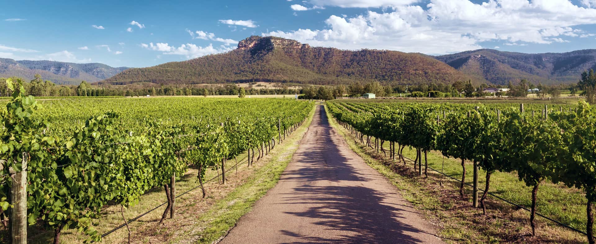 Hunter Valley bed and breakfast