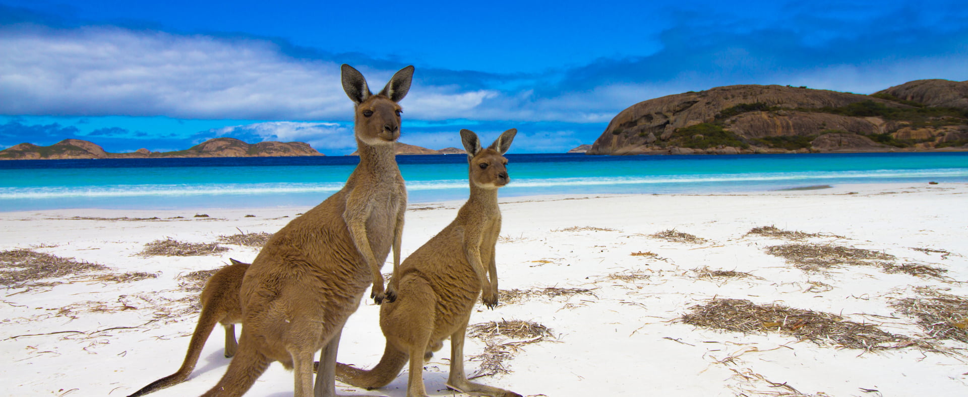Kangaroo Island holiday parks