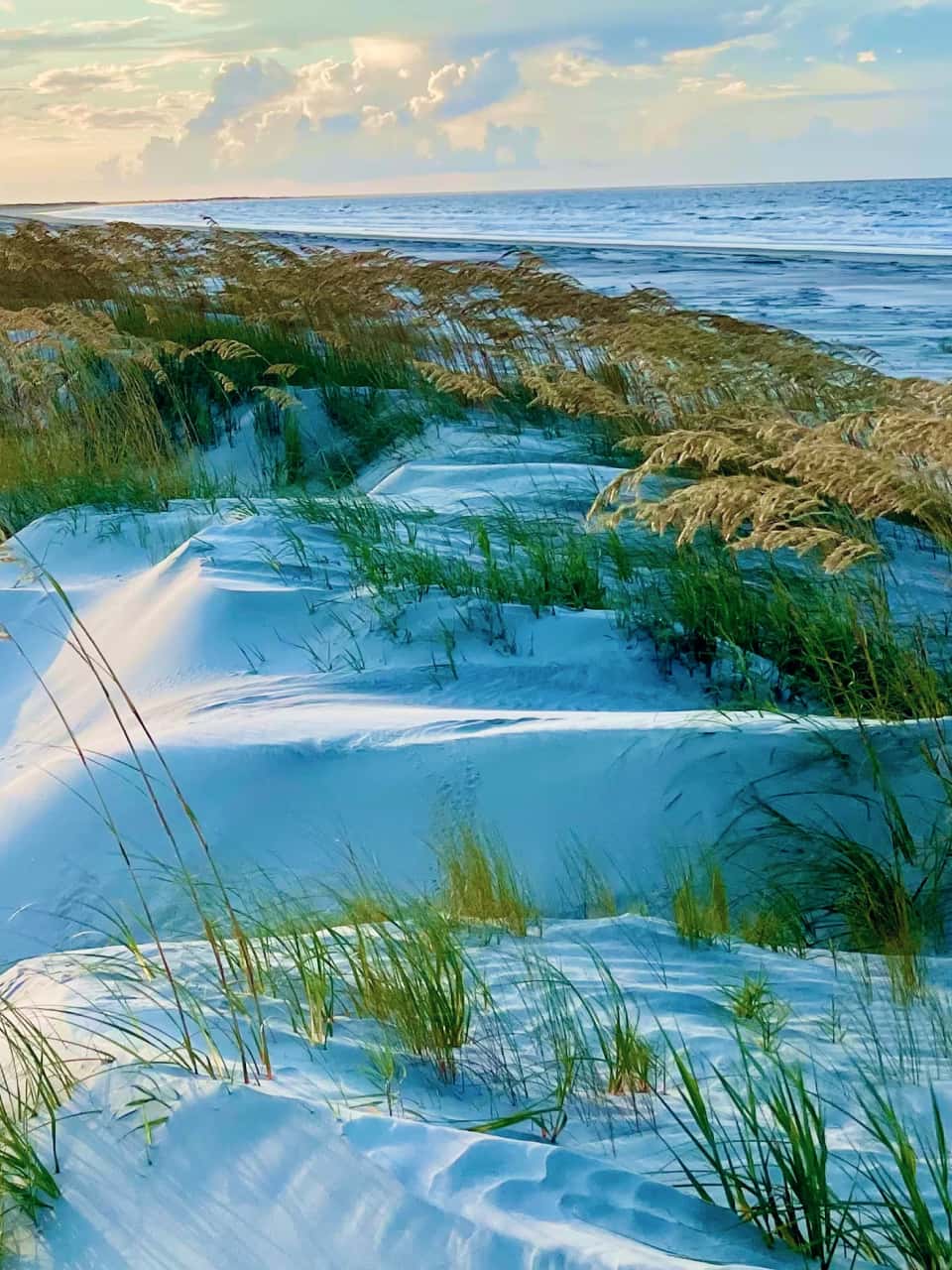 Kiawah Island, SC vacation rentals