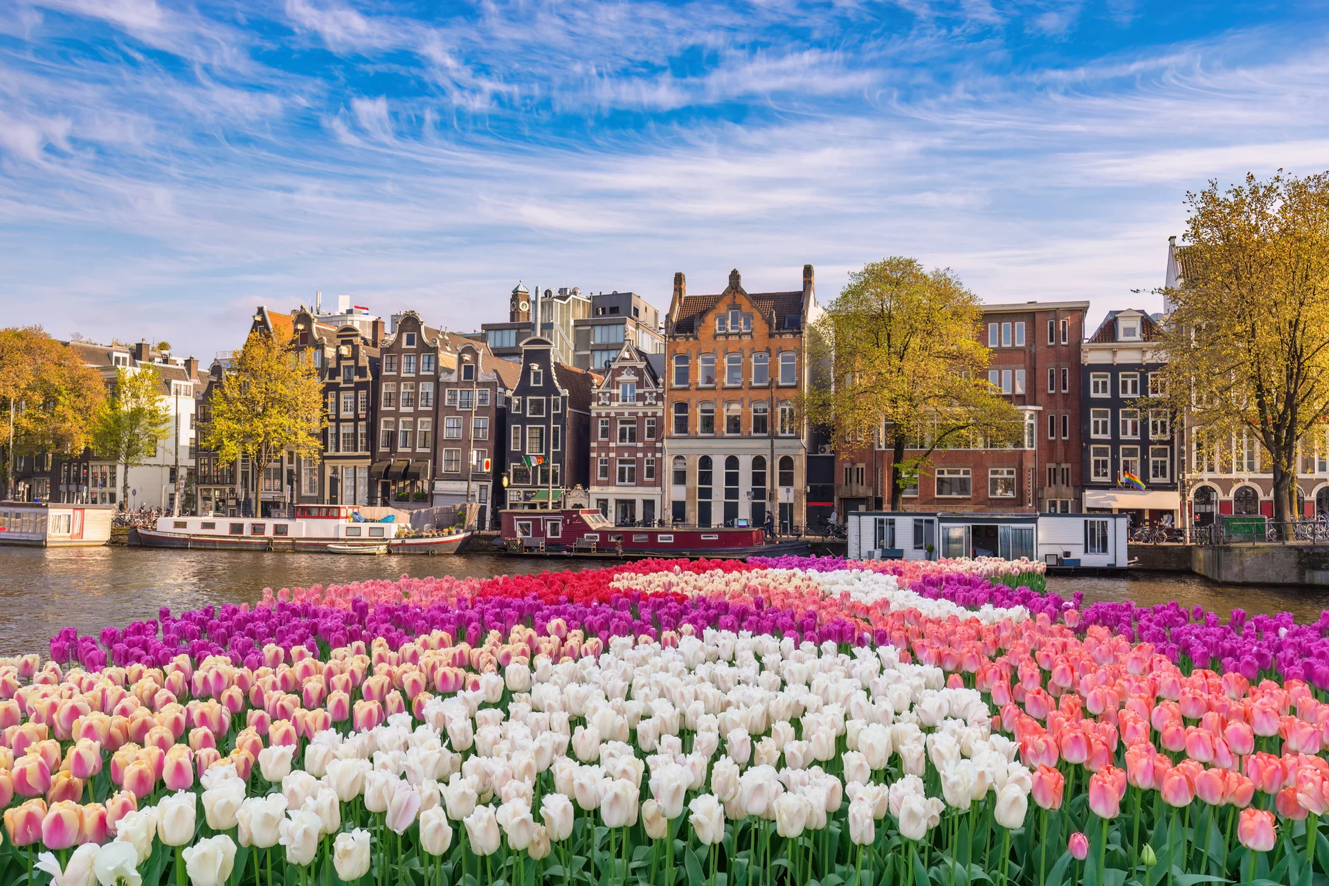 Amsterdam with Colourful Tulips Amsterdam View with Colourful Tulips