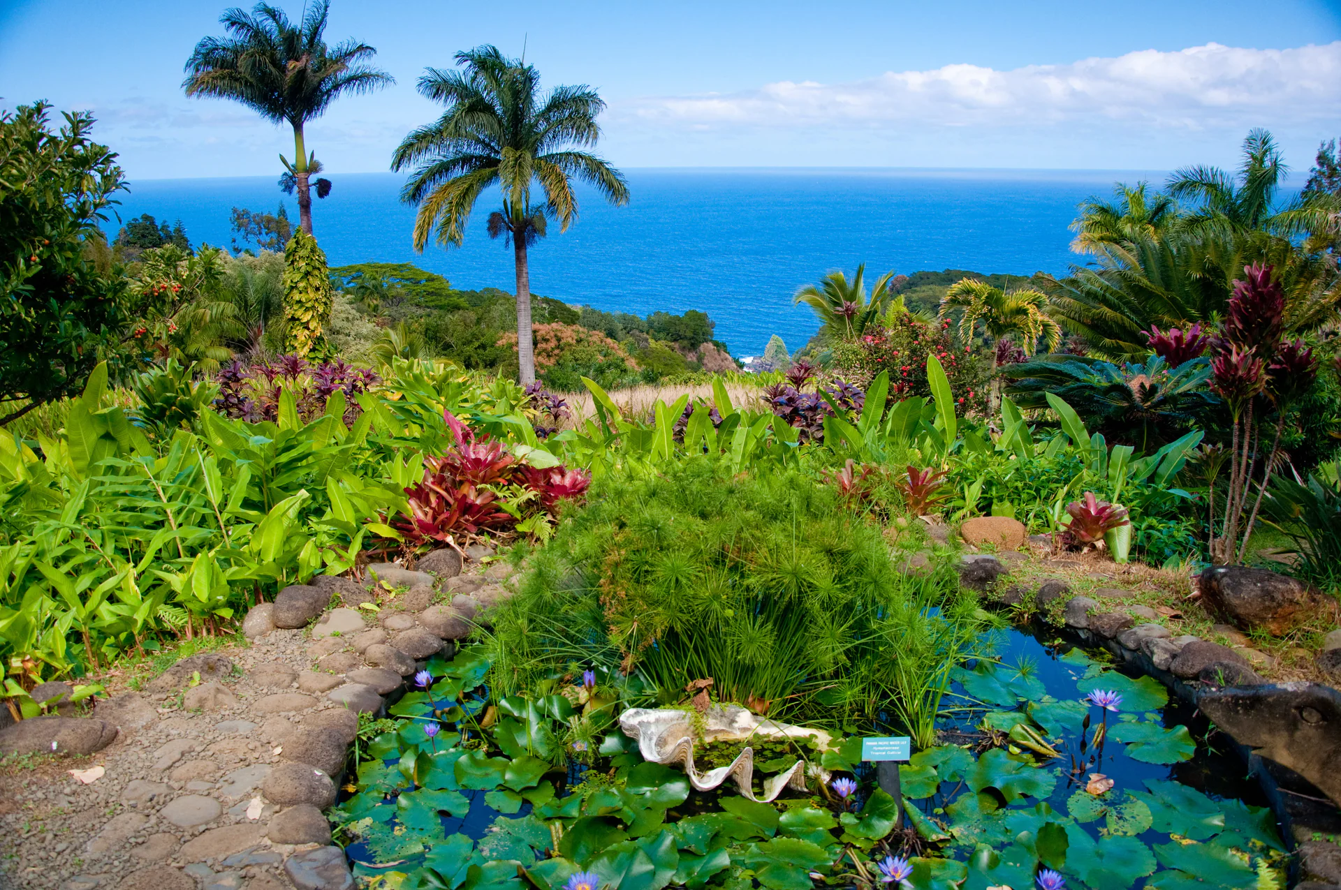 Maui Travel Guide