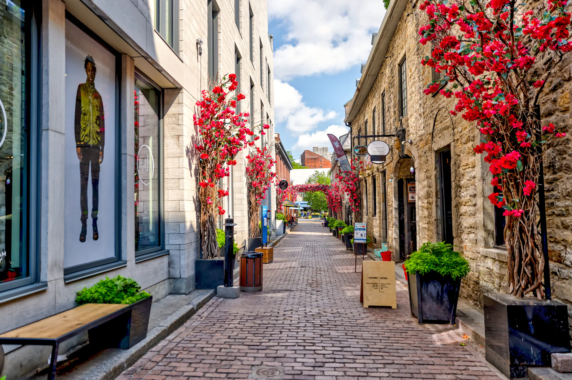 Downtown Montreal Scenic streets and patios in downtown Montreal in the summer