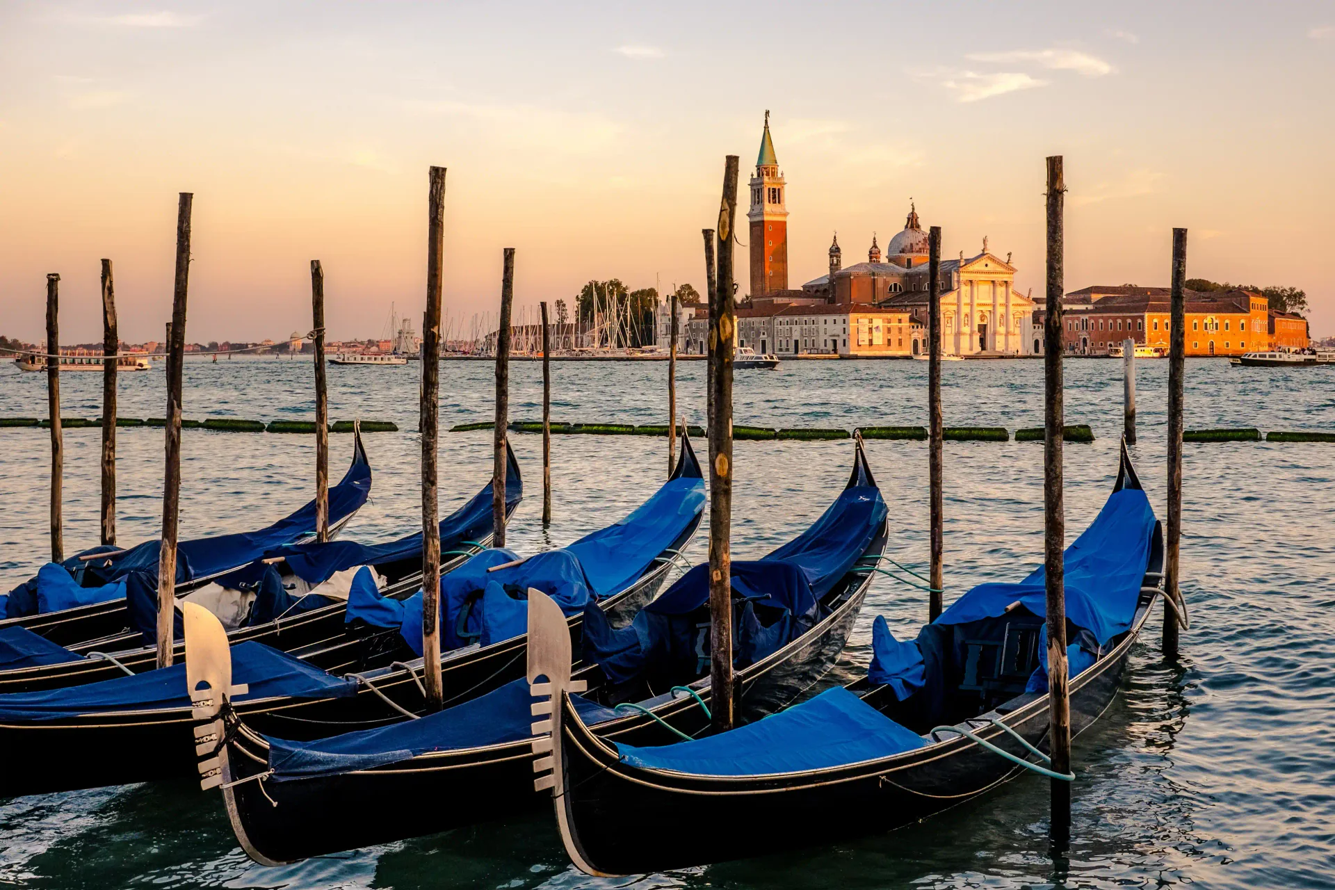 Cosa fare a Venezia? La guida di viaggio definitiva